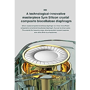 FEDAI TRN MT1 1DD HiFi Earphone Headphone, TRN MT1 in-Ear Earbud with New 10mm Composite Magnetic Dynamic Driver Over Ear Headset with Detachable C Pin 0.75MM Cable(No mic,Black)