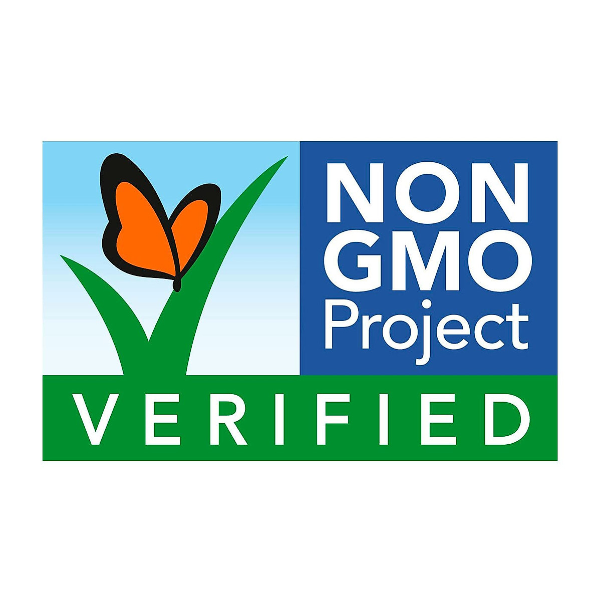 Amoretti - Natural Apple Pie Artisan Flavor Paste 8 oz - Perfect For Pastry, Savory, Brewing, and more, Preservative Free, Gluten Free, Kosher Pareve, No Artificial Sweeteners, Highly Concentrated