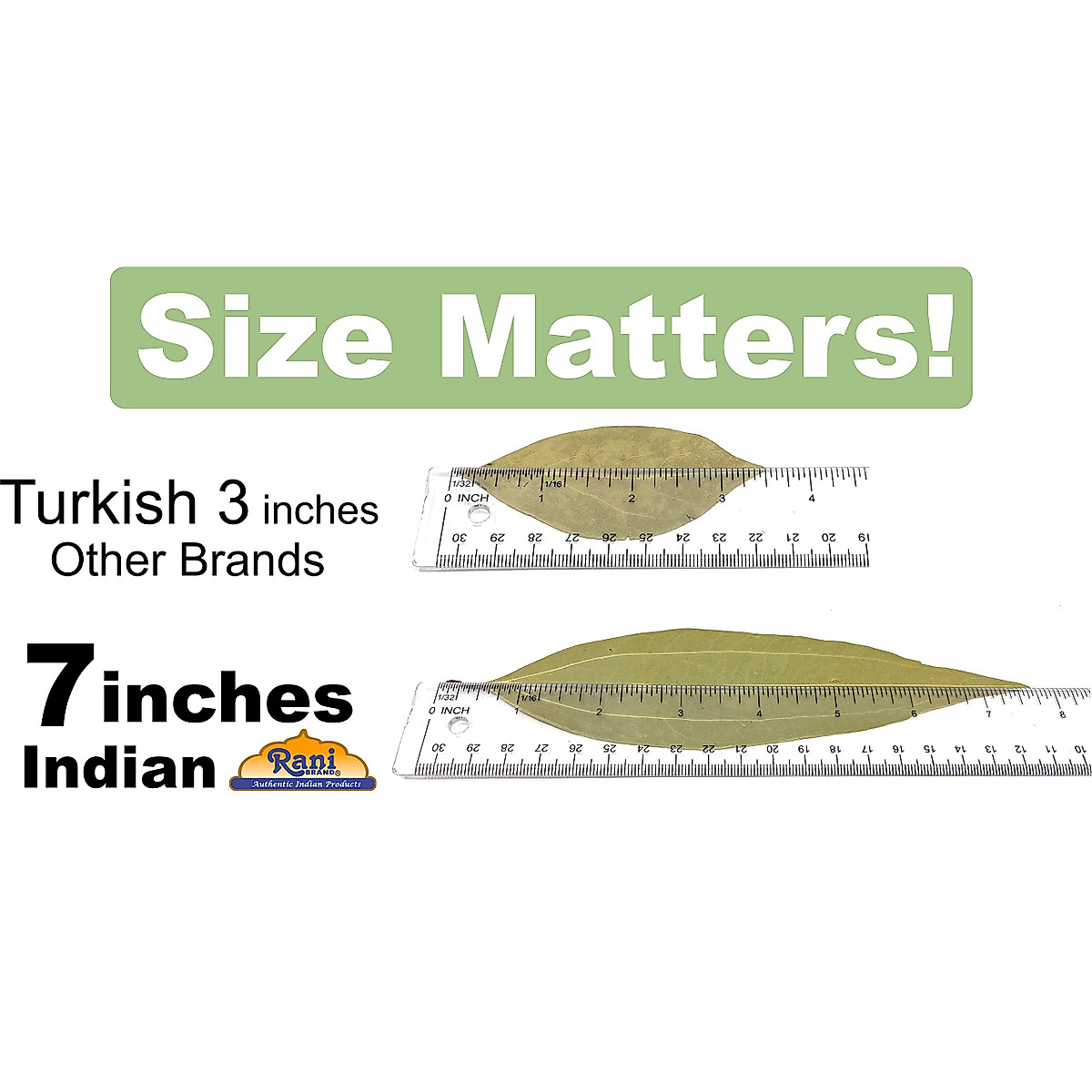 Rani Bay Leaf (Leaves) Whole Spice Hand Selected Extra Large 1.75oz (50g) ~ All Natural | Gluten Friendly | NON-GMO | Kosher | Vegan | Indian Origin (Tej Patta)