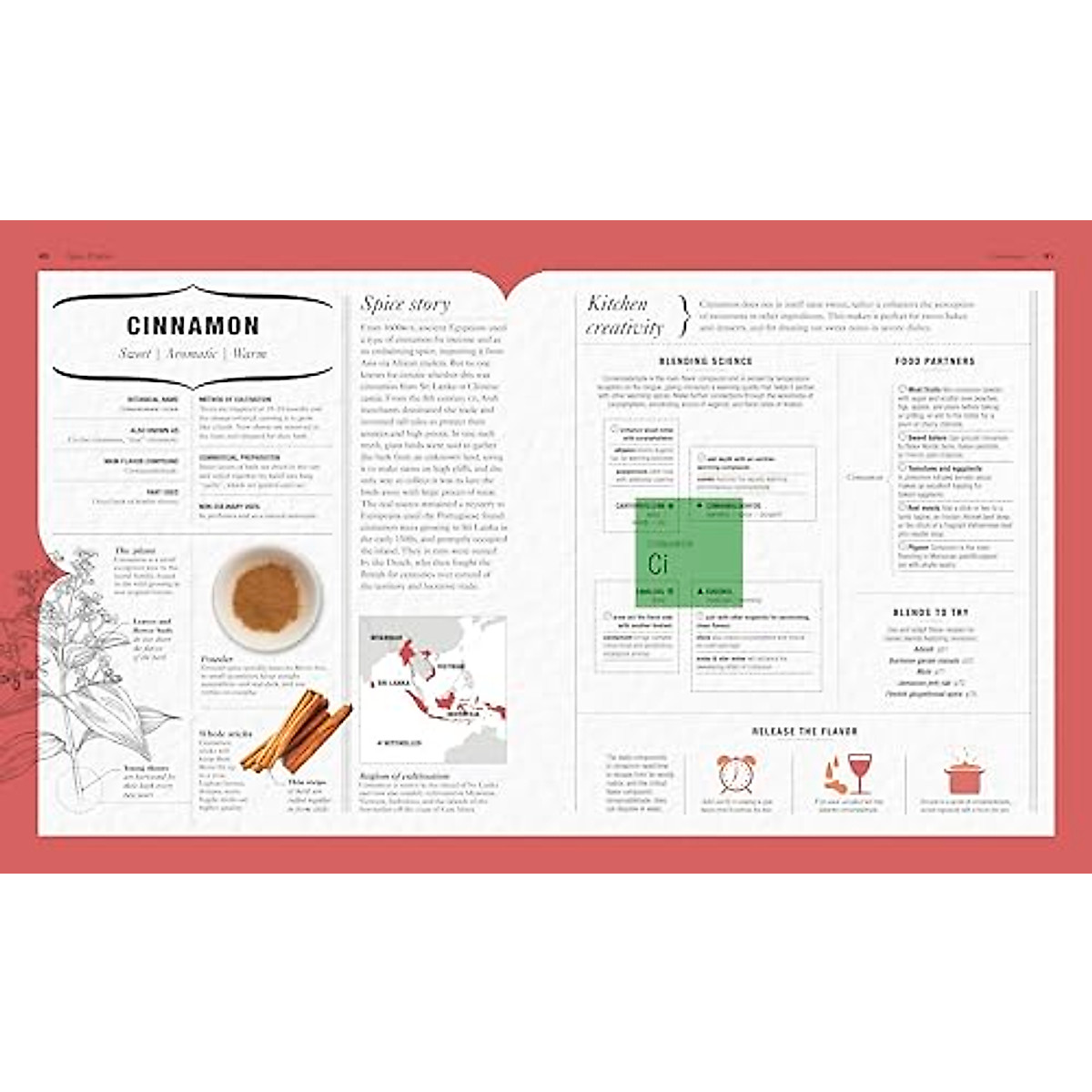 The Science of Spice: Understand Flavor Connections and Revolutionize Your Cooking