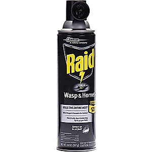 Raid Wasp and Hornet Killer (17.5 Ounce (Pack of 1))
