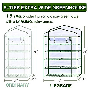 Worth Garden 50% Extra Wide Mini Greenhouse 5 Tier Portable Plant Green House 40in Wide -Sturdy Gardening Shelves with PVC Cover - Indoor & Outdoor Wheatgrass Growing - 19″x40″x75″