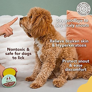 Natural Dog Company Snout Soother Dog Nose Balm, 2 oz. Tin, Dog Balm for Paws and Nose, Moisturizes & Soothes Dry Cracked Noses, Plant Based Nose Cream for Dogs