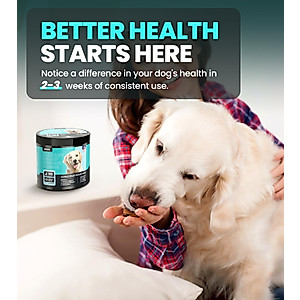 OMIKEE Dog Allergy Chews for Seasonal Allergies, Dog Allergy Relief with Omega 3, Probiotics & Natural Ingredients, Itch Relief for Dogs Allergy, Itching, Paw Biting, Skin Health 120 Ct Chicken Flavor