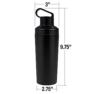 Beetlejuice OFFICIAL Beetle Worm 18 oz Insulated Water Bottle, Leak Resistant, Vacuum Insulated Stainless Steel with 2-in-1 Loop Cap