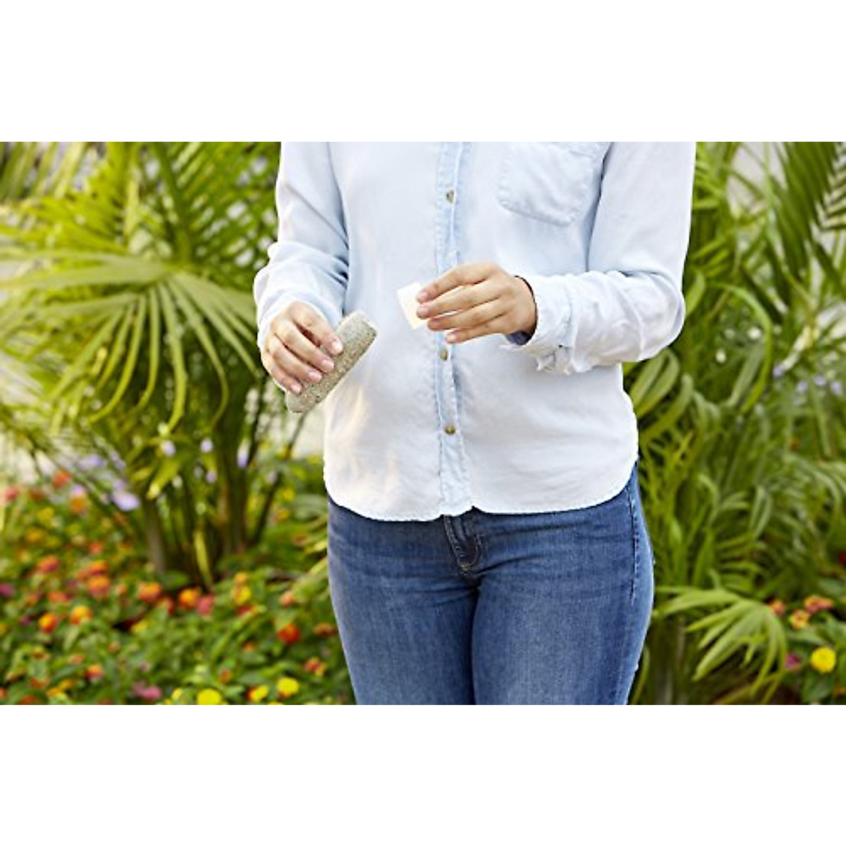 Miracle-Gro Fruit & Citrus Plant Food Spikes 12 per Pack