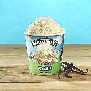 Ben & Jerry's Vanilla Ice Cream Pint Non-GMO 16 oz