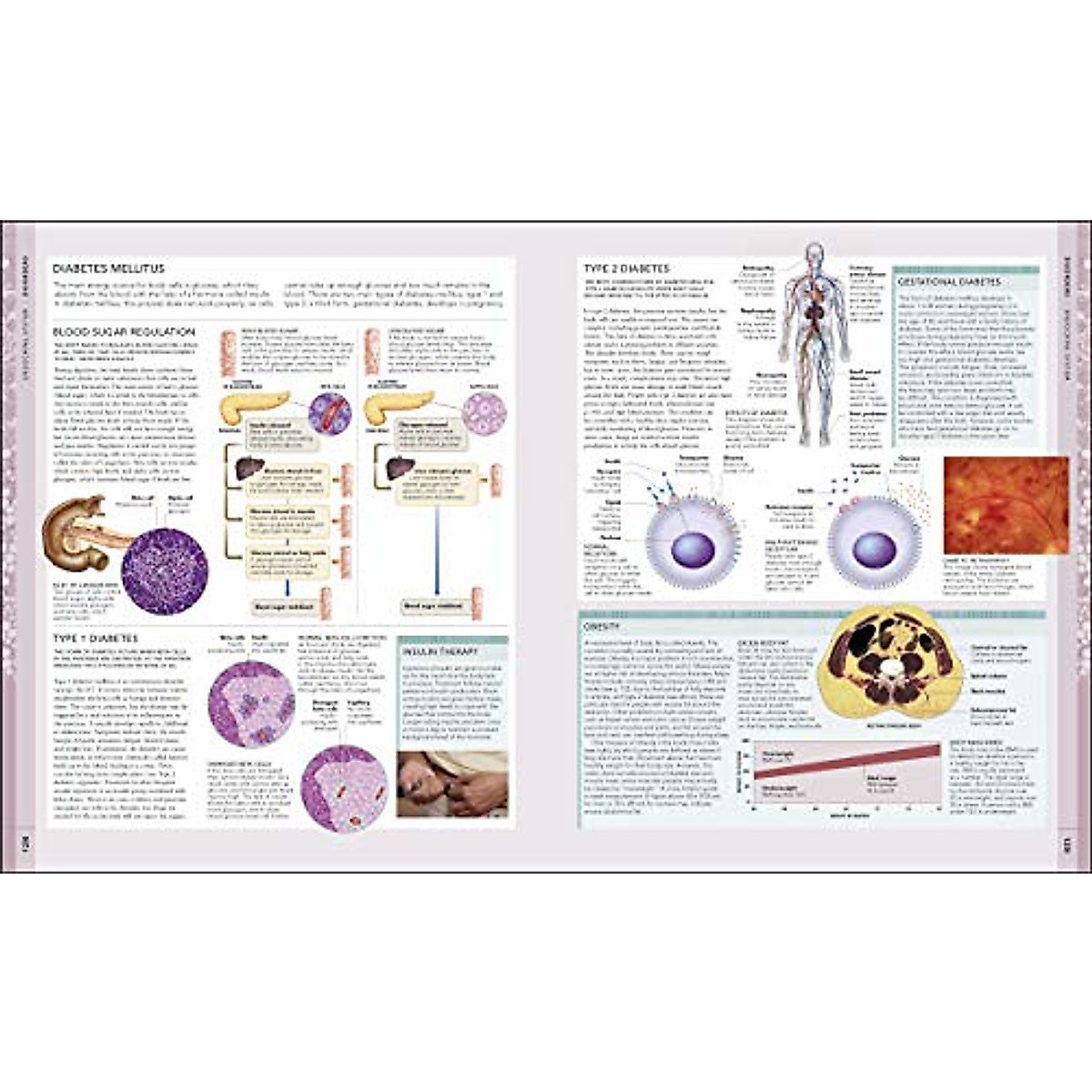 The Human Body Book: An Illustrated Guide to its Structure, Function, and Disorders (DK Human Body Guides)