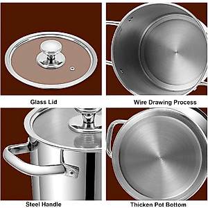 Cooking Pots,Japanese Spaghetti Pot with Basket Insert & Lid, Stainless Steel Vegetable Asparagus Spaghetti Steamer Oil Deep Fry Pan Pasta Stovetop Cooker