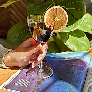 PURE MORA Nick and Nora Glasses, Set of 4-6oz - Smaller Cocktail Glass for Bijou, Old Pal, Aperitifs, Negroni, Vermouth, Wine, etc. Hand Blown Premium Crystal - Classic Bartender Mixology Glassware