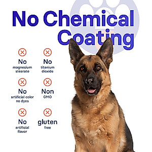 Liver Support & Health Supplement for Large Dogs – (Milk Thistle Dogs) Silymarin & Silybin Formula, (Same), S-Adenosylmethionine, 30 Tablets for Liver Detox & Support for Dogs