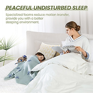 HOXURY Queen Mattresses, 8 Inch Hybrid Mattress Queen Size, Memory Foam & Individually Wrapped Pocket Coils Innerspring Mattress in a Box, Pressure Relief & Cooler Sleeping