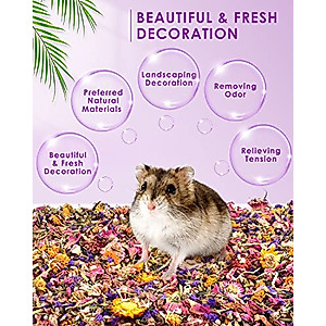 Bissap Natural Flower & Herb Hamster Bedding 300g/10.5oz, Small Animal Soft Flower Habitat Decor for Syrian Dwarf Hamster Gerbil Chinchilla Mice Degu and Other Small Pet Flower Bedding Odor Control