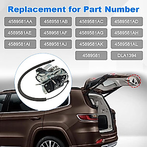 WMPHE Rear Tailgate Trunk Lock Actuator Compatible with 2008-2020 Dodge Grand Caravan 2008-2016 Chrysler Town & Country 2008-2010 Jeep Commander 2012-2015 RAM C/V, Replacement for 4589581AA 4589581AL
