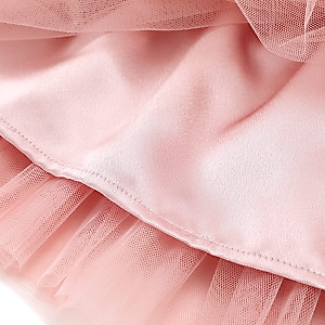 Flofallzique Girls Tutu Dress Long Sleeves Toddler Velvet Tulle Dresses for Birthday Party (2, Dusty Pink)