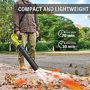 SEYVUM Leaf Blower - 580CFM 20V MAX Leaf Blower Cordless with 2 X 3.0 Battery & Charger, 3-Speed Dial Electric Handheld Leaf Blower, Lightweight Powerful Blower Battery Operated for Lawn Care, Jobsite
