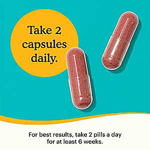 Because Probiotics Cranberry UTI Defense Capsules for Women (60 Capsules, 1 Bottle)