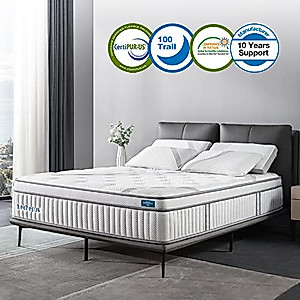 Queen Mattress,Lechepus 14 Inch Hybrid Memory Foam Mattresses with Individual Pocket Springs,Mattress in Box,Plush Comfortable Mattress for Cool Sleep & Back Pain Relief,CertiPUR-US Certified