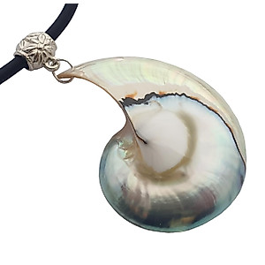 Swimmi Rare Natural Open Nautilus Shell Necklace, Hand Polished Pearly Nautilus Necklace for Women, Adjustable Cord Nautilus Mother of Pearl Necklace, Ursula Necklace Jewelry AA419-CR