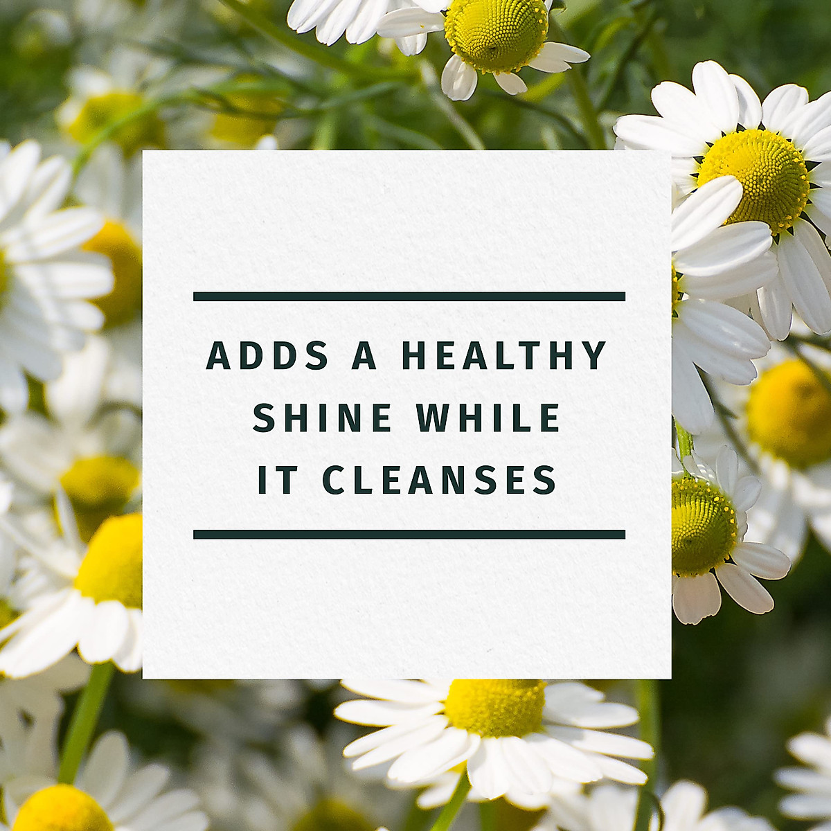 Herbal Essences Shine Collection Shampoo