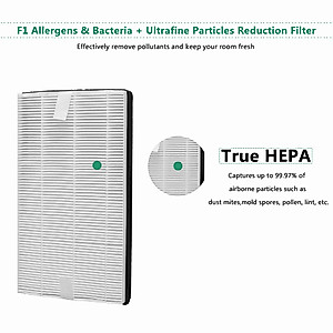 Nyingchi F1 Advanced Allergen Reduction, H13 Grade F1 HEPA Replacement Filter, Compatible with 3M Filtrete Room Air Purifier FAP-C01-F1,FAP-T02-F1, FAP-C01BA-G1, FAP-T02WA-G1, 2 Pack