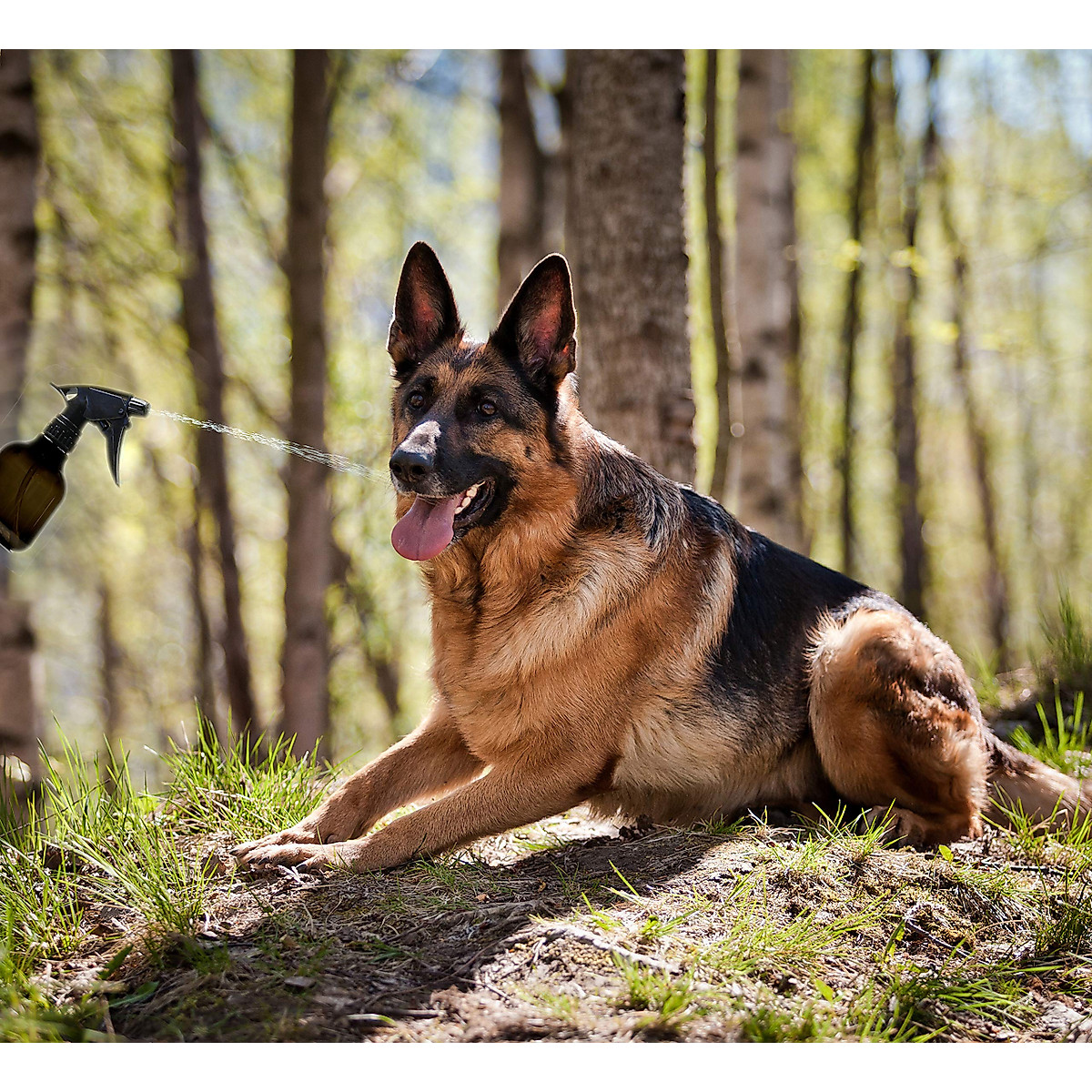 Nechtik Black Plastic Spray Bottles - 8 Oz, Pack Of 3, Leak Proof, BPA Free Material, Small Spray Bottle, Adjustable Trigger Mist to Stream And Off Modes.