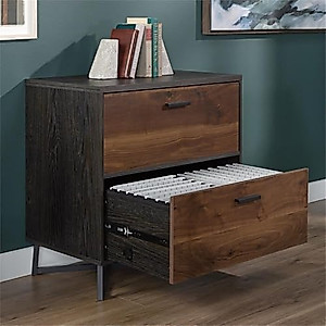 Sauder Canton Lane Engineered Wood/Metal Lateral File in Brew Oak