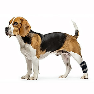 Dog Leg Brace, Rear Ankle Compression Wrap, Used for Supporting Injuries and Sprains, Wound Care, Stability Loss Due to Arthritis(Size: XS)