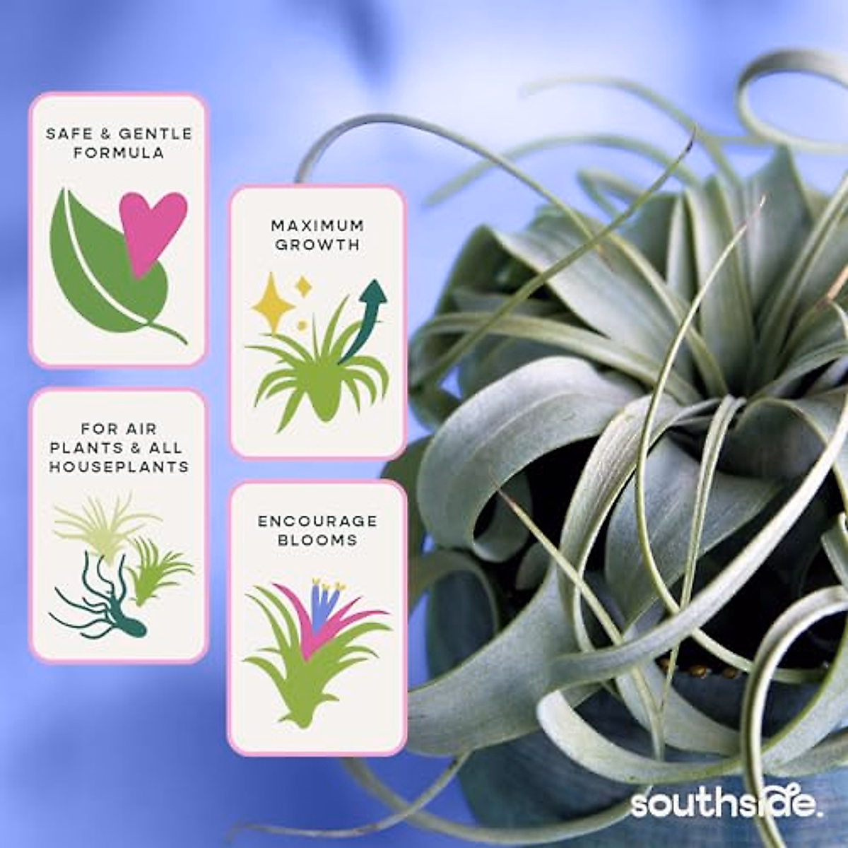 Air Plant Fertilizing Spray by Southside Plants - Fertilizer Mist for Houseplants, Weekly Plant Food - Gentle Mist Formula for Miracle Feed & Grow - 7.3 oz