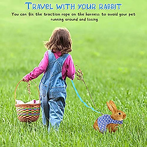 2 Set Rabbit Harness with Leash Adjustable Bunny Guinea Pig Bowknot Harness Set for Small Large Pets Costume Walking (M)