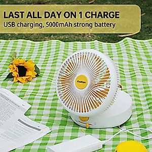 feekaa USB Fan, 8-Inch Oscillating Desk Fan, Small Wall Mounted Fan with Night Light, Rechargeable Battery Operated, Variable Speed, Quiet Fan for Outdoor/Travel/Camping/Office