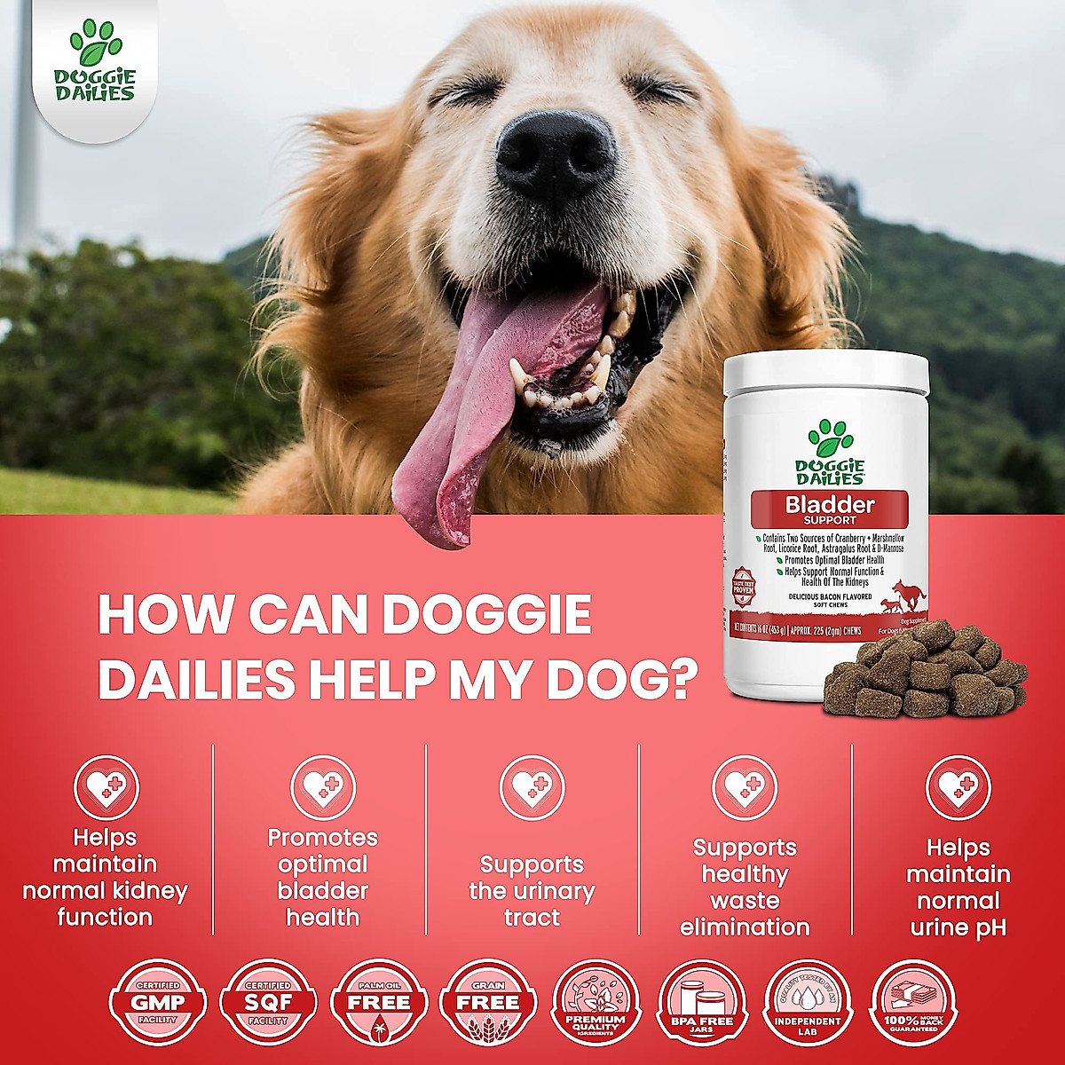 Doggie Dailies Bundle - 5-in-1 Multivitamin & Bladder Support Soft Chews
