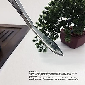 Bonsai Tweezers, Rustproof Bonsai Spatula Tweezers Soil Loosening Tool Straight Tip Easy Maintenance for Courtyard