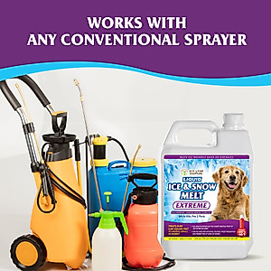 Liquid Ice & Snow Melt Extreme | Eco Living Solutions - Liquid Ice Melt & Liquid Deicer | Pet Safe Ice Melt | Ice Melt Safe for Concrete | Liquid Calcium Chloride Ice & Snow Melt (1 Gallon)