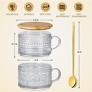 14oz Glass Coffee Mugs Cups , Overnight Oats Containers with Bamboo Lids and Spoons,Coffee Bar Accessories,Clear Embossed Tea Cups,Coffee Cups for Cappuccino, Latte,Christmas Thanksgiving Gift