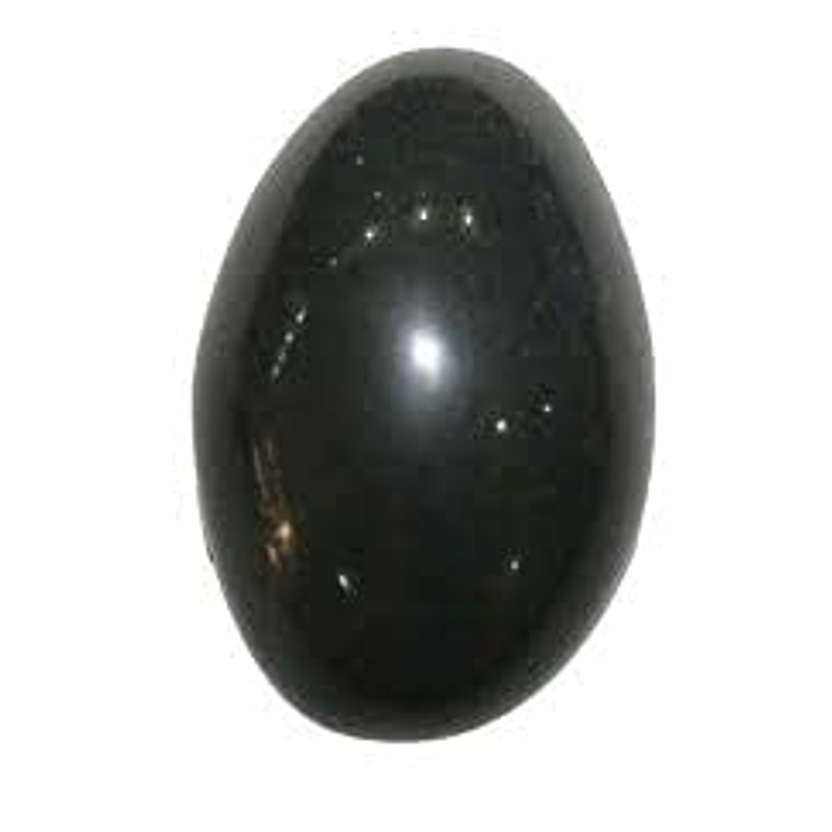 Shaligram Saligram Shali Gram Natural shaligram Shila gandaki River Narmada Nadi shaligram (Black) Stoneware Yantra (Pack of 1) Poojan Hawan and anushthan items samagri