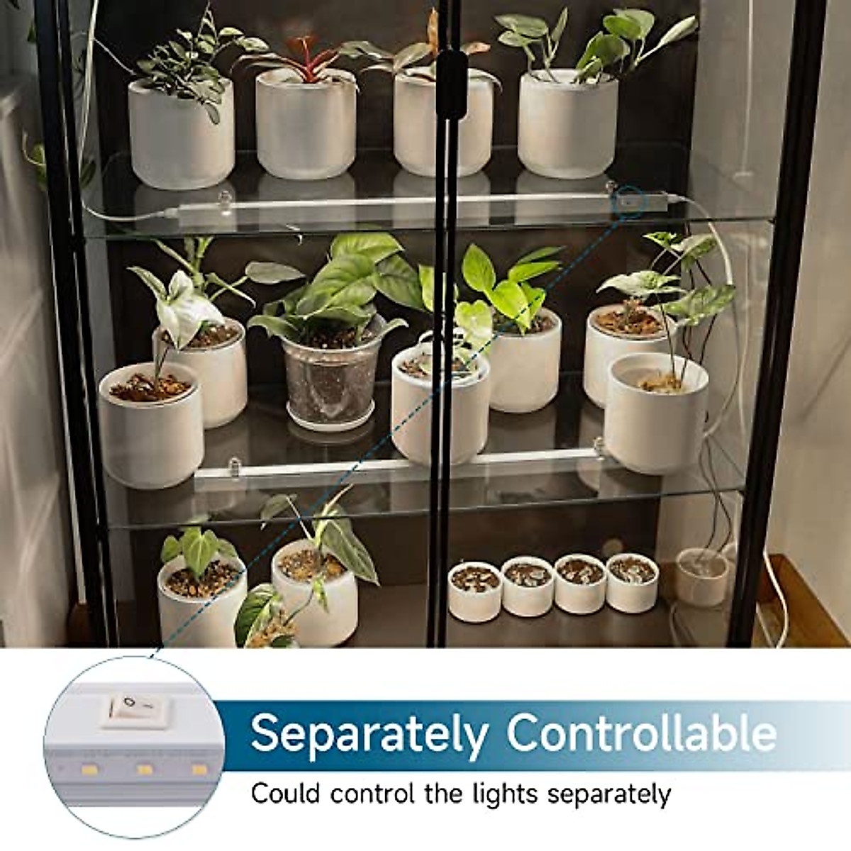 Barrina T5 Grow Lights, 5000K White Full Spectrum LED Grow Lights, 2ft 80W (8 x 10W) Plant Grow Lights for Indoor Plants, Plug and Play, 8-Pack