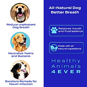 HealthyAnimals4Ever Bad Breath for Dogs Pellets - Dissolvable - No Brushing - for Clean Teeth, Plaque & Tartar Control - All-Natural, Non-GMO, Organic - Preservative & Chemical Free - 300 ct