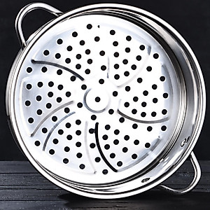 BinaryABC Stainless Steel Steamer Dumpling Steamer Food Steamer Basket Veggie Steamer Basket Rice Noodle Roll Steamer Insert Pot,20cm