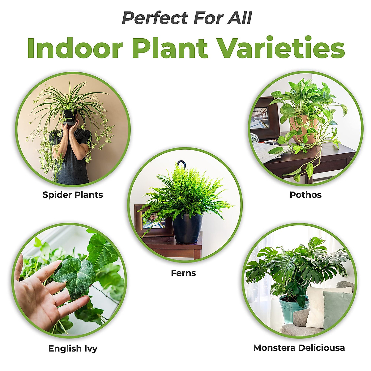 Perfect Plants Indoor Plant Soil 8qt | Perfectly Balanced Potting Mix | Gardening Substrate for All Varieties of Live houseplants