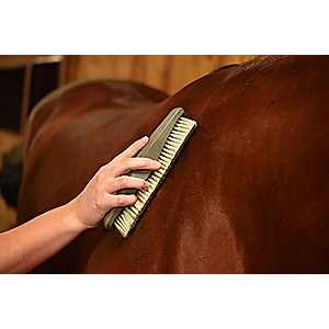 WAHL Professional Animal Equine Soft Body Horse Brush, Black (858704)