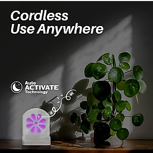 PIC Portable Flying Insect Trap (1 Base + 2 Refill Cartridge)