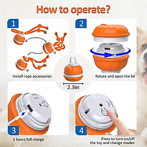 Salodal Peppy Pet Ball for Dogs, Dog Interactive Toys Dog Ball,Motion Activate Rolling Ball for Puppy/Small Dogs, Automatic Moving Dog Toy,USB Rechargeable (Dog Ball)