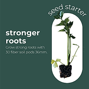 Window Garden Mini Greenhouse Seed Starter Kit – Reusable Seedling Trays - Indoor Germination Tray with Humidity Dome and Soil Pods - Windowsill Seeds Germinator - 30 Cells Starting Trays, 3 Pack