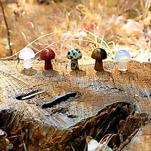 Sierslo 10PCS Mini Natural Rose Quartz All Kinds of Gemstone Carving Crafts Crystal Mushrooms for Home Decoration