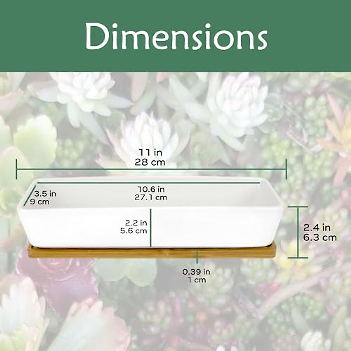 Ceramic Succulent Pots - 1 Pot - Long Rectangle - with Bamboo Tray - White - 11"