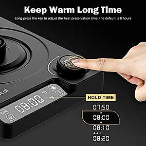 Vmotal Gooseneck Kettle, 1200W Electric Kettle with Fast Heating, Temperature Variable for Coffee Tea Brewing, Stainless Steel, Leak-Proof, 24H Keep Warm, Auto Shut off, Anti-dry Protection, 0.9L