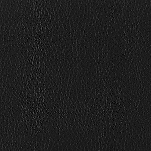 Coaster Home Furnishings Samuel Sleeper Sofa Black