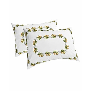Edwiinsa Summer Lemon Pillow Covers King Standard Set of 2 20x36 Bed Pillow, Spring Leaves Yellow Lemon Lace Plush Soft Comfort for Hair/Skin Cooling Pillowcases with Envelop Closure