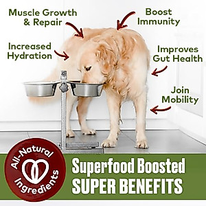 Furvor Mobility Support Beef Bone Broth for Dogs | Hip & Joint Support for Dogs | Glucosamine & Amino Acid Boosted | Human Grade Ingredients | Just add Water | Made in USA, 12 oz